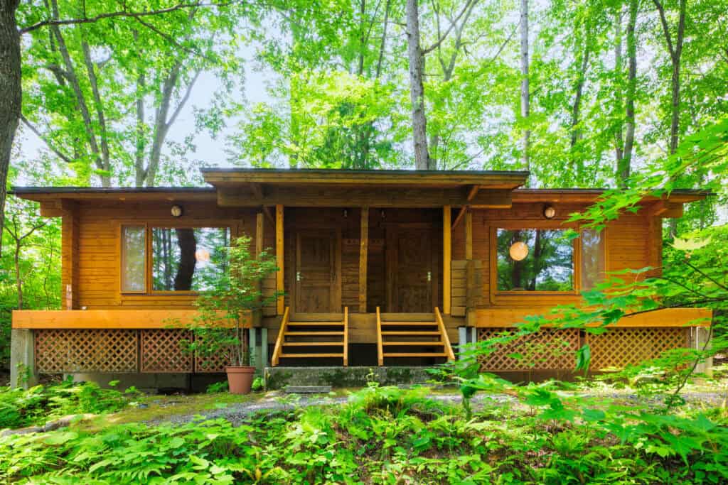 Hotel La Neige | Room Types | Forest Views